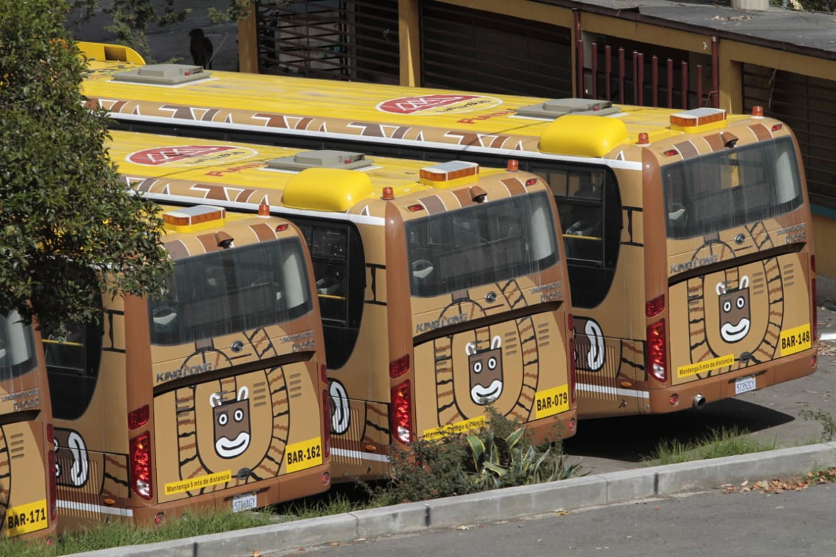 El gerente de la empresa que importó los buses PumaKatari fue ...