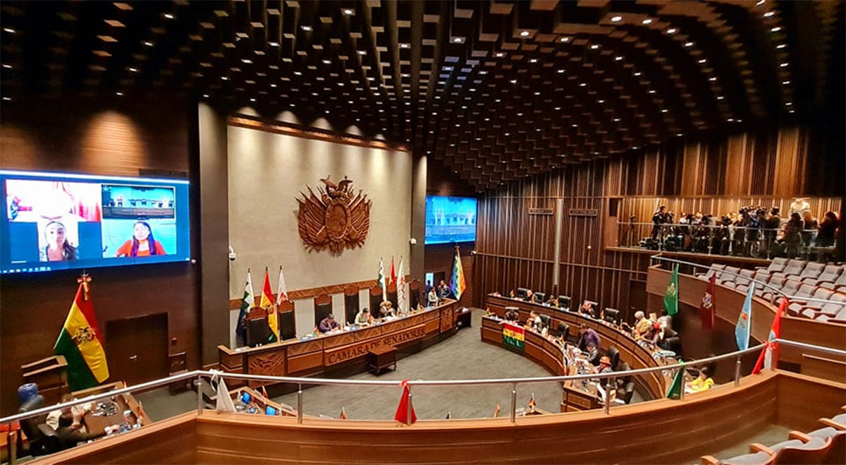 T Informas Bolivia | Senado sancionó ley para la selección y ...